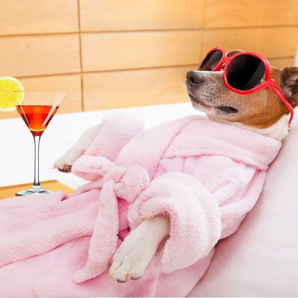 Find A Cuddle Buddy and Professional Cuddler | Cuddling Service